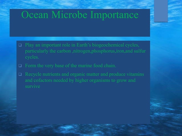 Ocean and microbial life | PPTX | Biological Sciences | Science