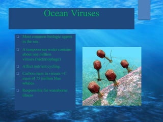 Ocean and microbial life | PPTX