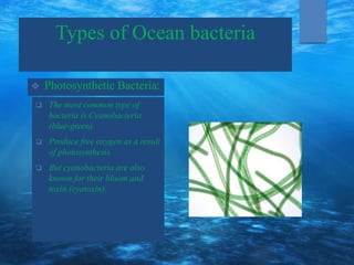 Ocean and microbial life | PPTX
