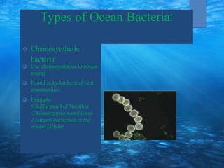 Ocean and microbial life | PPTX