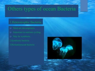Ocean and microbial life | PPTX | Biological Sciences | Science