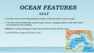Ocean and seas (class VIII) | PDF