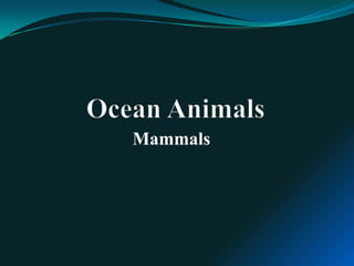Ocean Animals | PPTX
