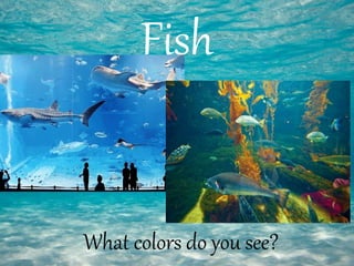 Ocean animals | PPTX