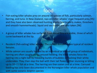 Ocean animals (2) | PPTX | Zoos & Aquariums | Attractions