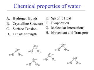 Ocean basics | PDF