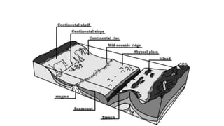 OCEAN BASIN .pptx.earth and life science | PPTX