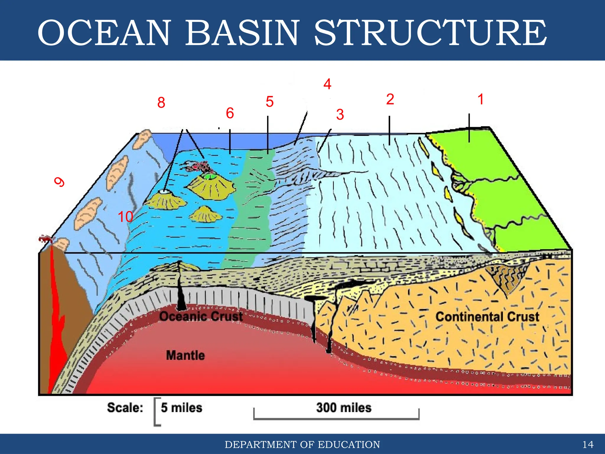 OCEAN BASIN - its structure and evolution. | PPT