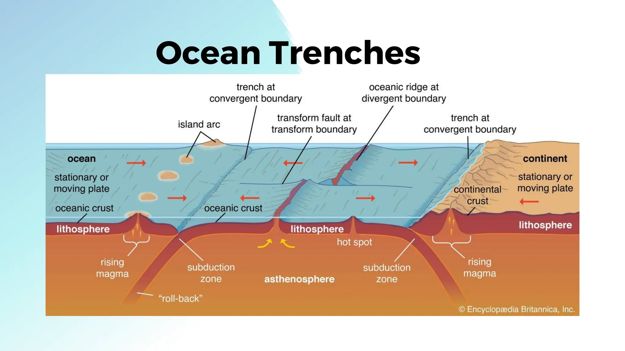 Ocean Basin, Trenches, and Plate Movement.pptx