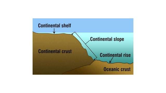 Ocean Basin, Trenches, and Plate Movement.pptx