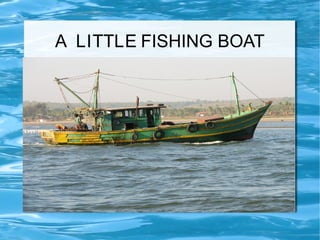Ocean big and little animals | ODP