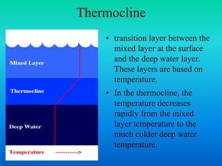 Ocean Chemistry | PPT