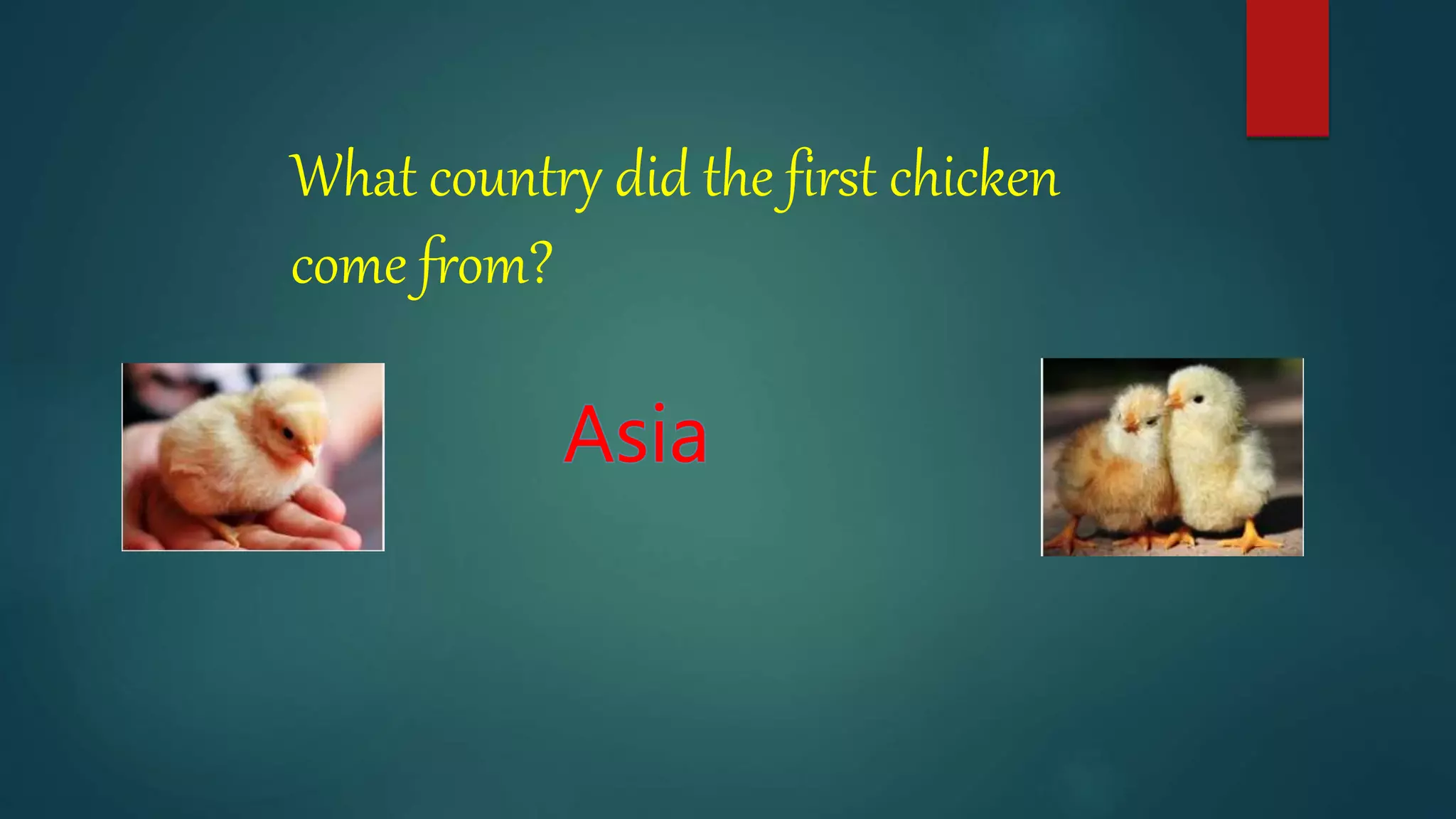 Ocean chicken | PPTX