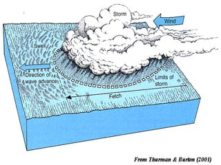Ocean Circulation | PPT