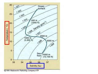 Ocean circulation | PPTX