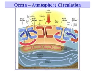 Ocean circulation | PPTX