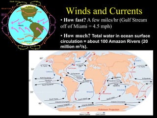 Ocean circulation | PPTX