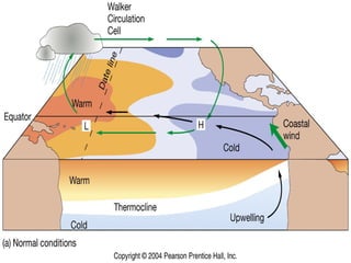 Ocean Circulation | PPT