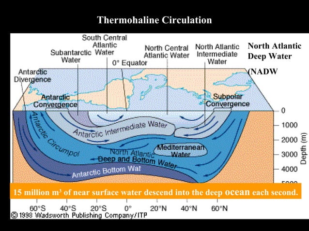 Ocean circulation | PPT