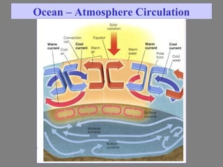 Ocean circulation | PPT
