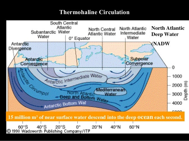 Ocean Circulation Patterns