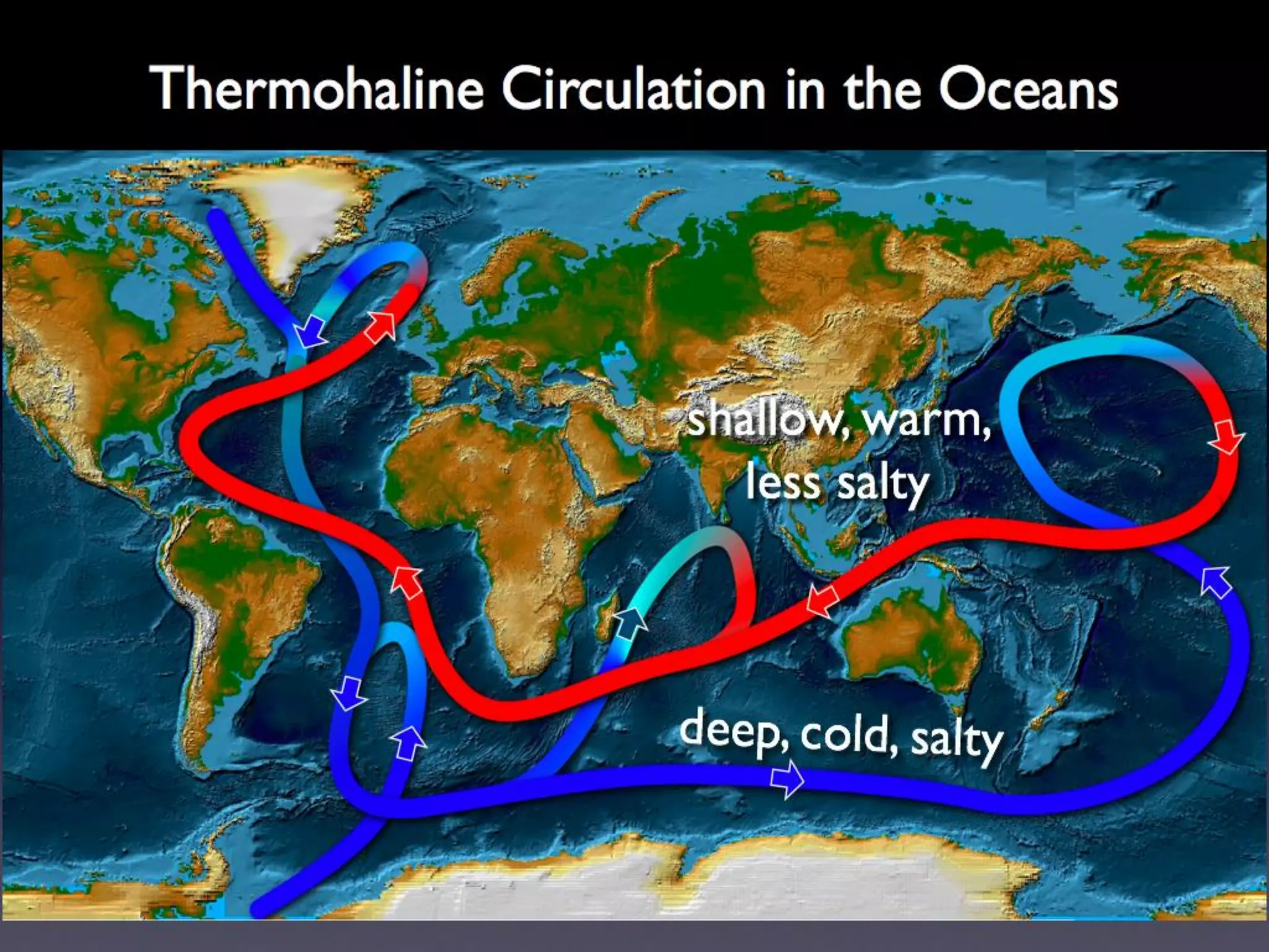 Ocean circulations | PDF