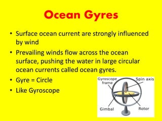 Ocean circulations | PDF