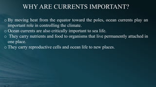 OCEAN CURRENT.pptx