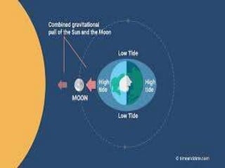 Ocean Current for students of class 9 and 10 ICSe board best ...