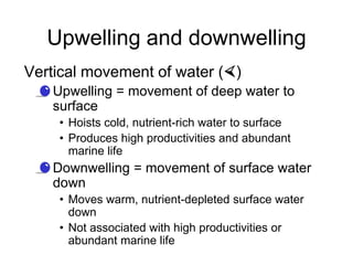 Ocean Current Upwelling Animation
