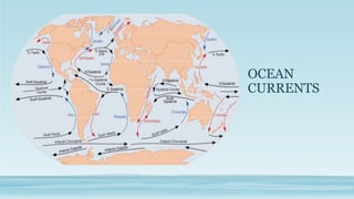 Ocean currents | PPTX