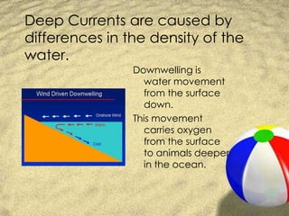 Ocean currents | PPTX