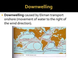 Ocean currents of the world | PPTX