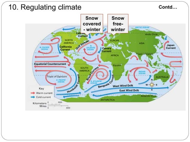 Ocean currents ppt.pptx | Geography | Science