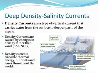 Climate and Ocean Currents | PDF