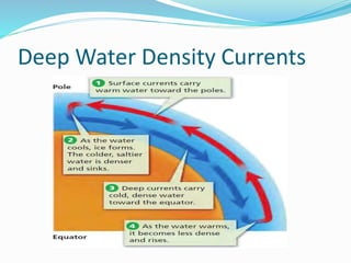 Climate and Ocean Currents | PDF