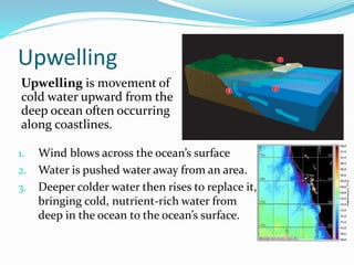 Ocean Current Upwelling Animation