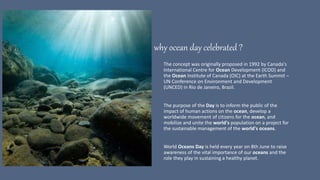 OCEAN DAY 11.pptx