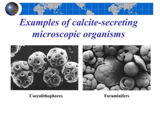 Ocean Deposits | PPT