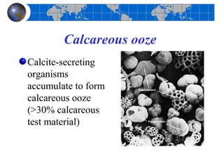 oceandeposits.pdf | Geography | Science