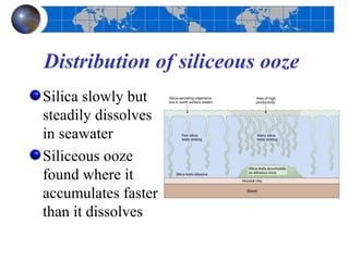 oceandeposits.pdf | Geography | Science