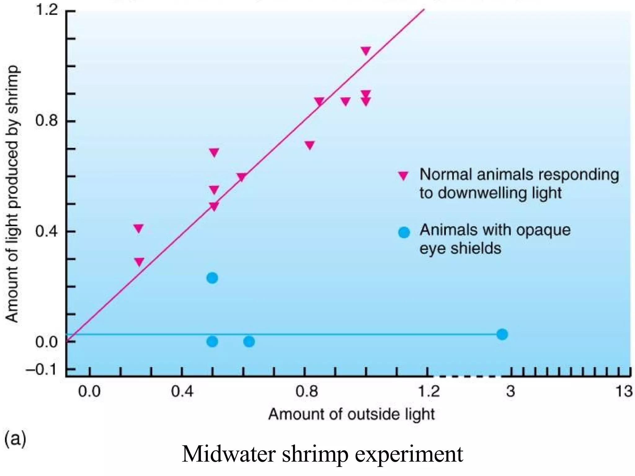 Ocean Depths Habitat | PPT | Fish and Aquariums | Pets