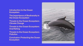 Ocean Ecosystem-1.pptx | Geography | Science