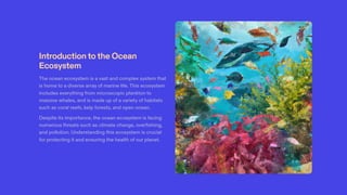 Ocean Ecosystem-1.pptx | Geography | Science