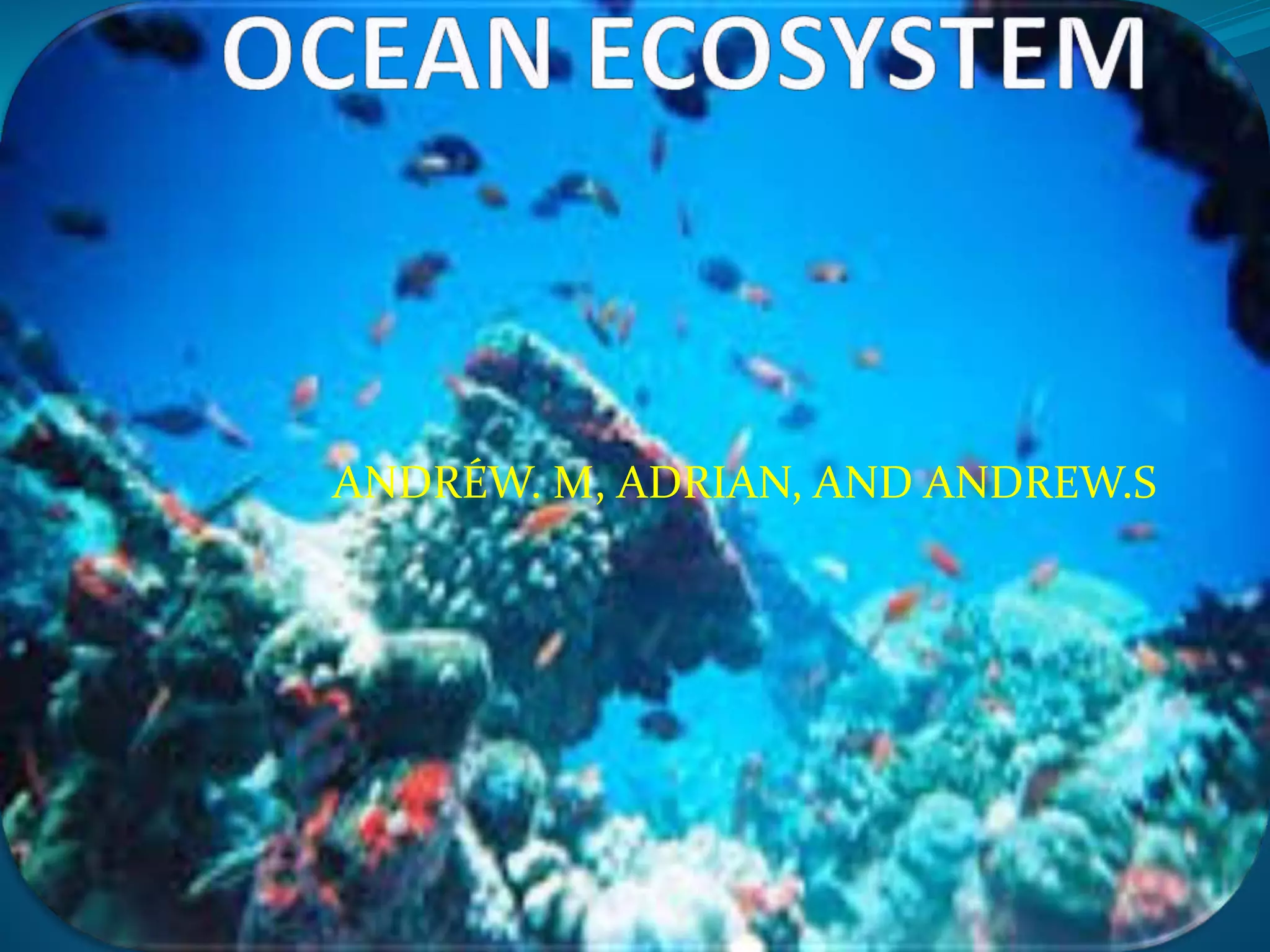 Ocean ecosystem | PPT