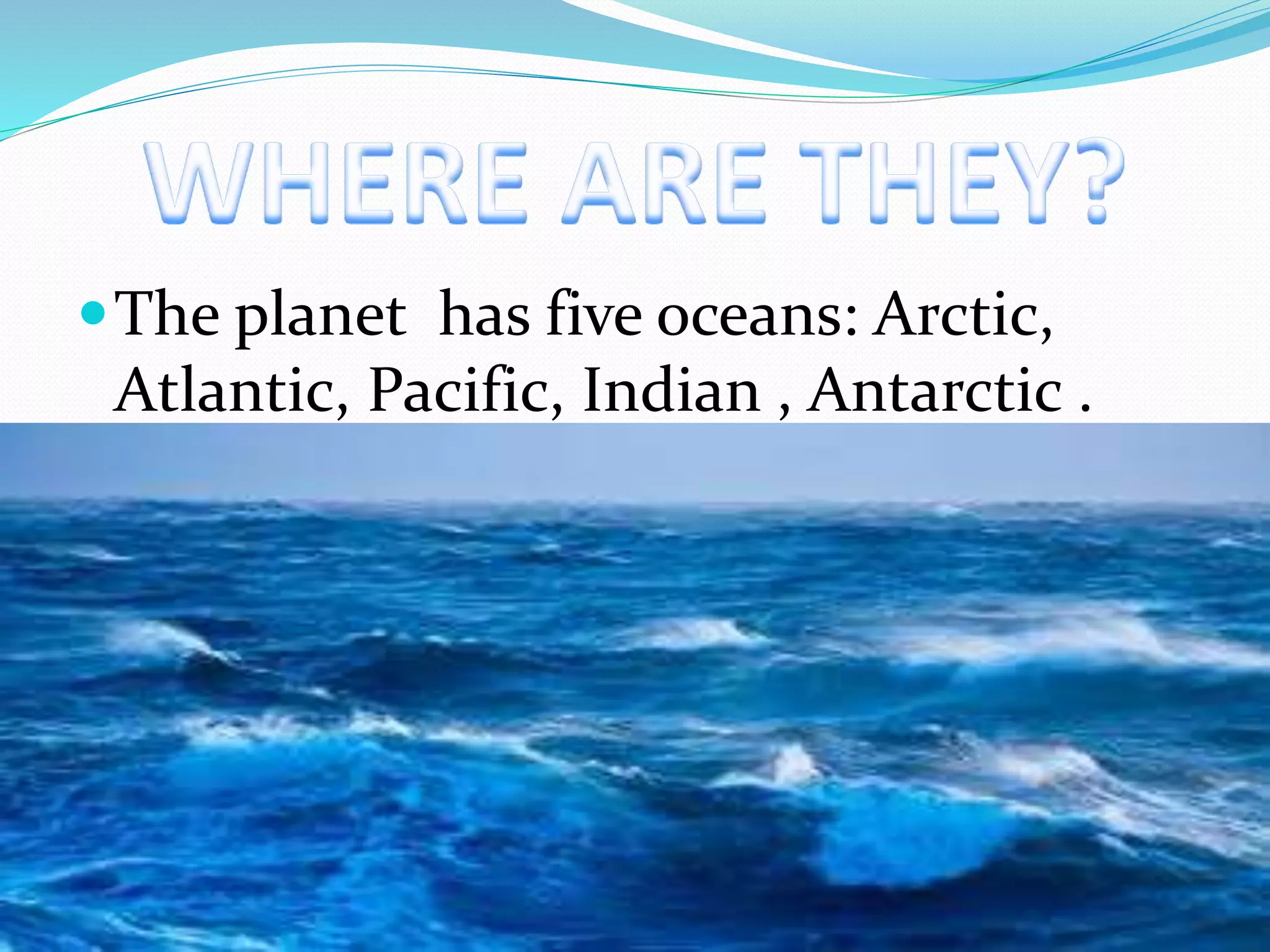 Ocean ecosystem | PPT