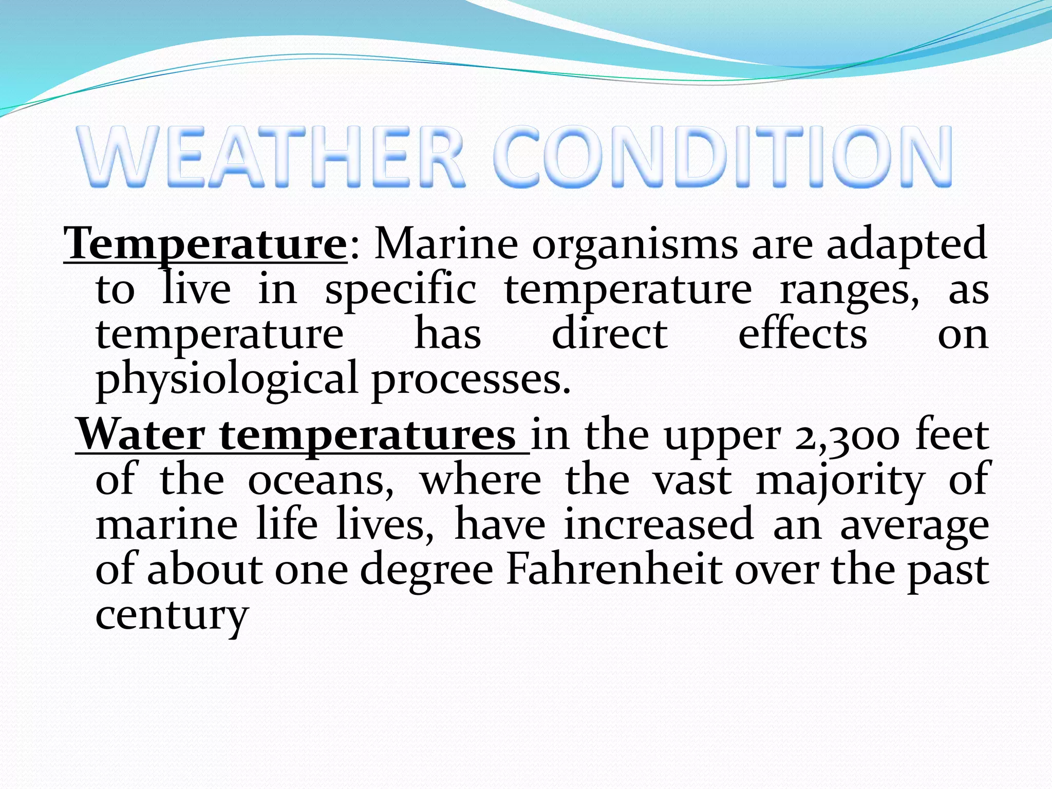 Ocean ecosystem | PPT
