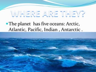 Ocean ecosystem | PPT