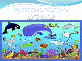 Ocean ecosystem | PPTX