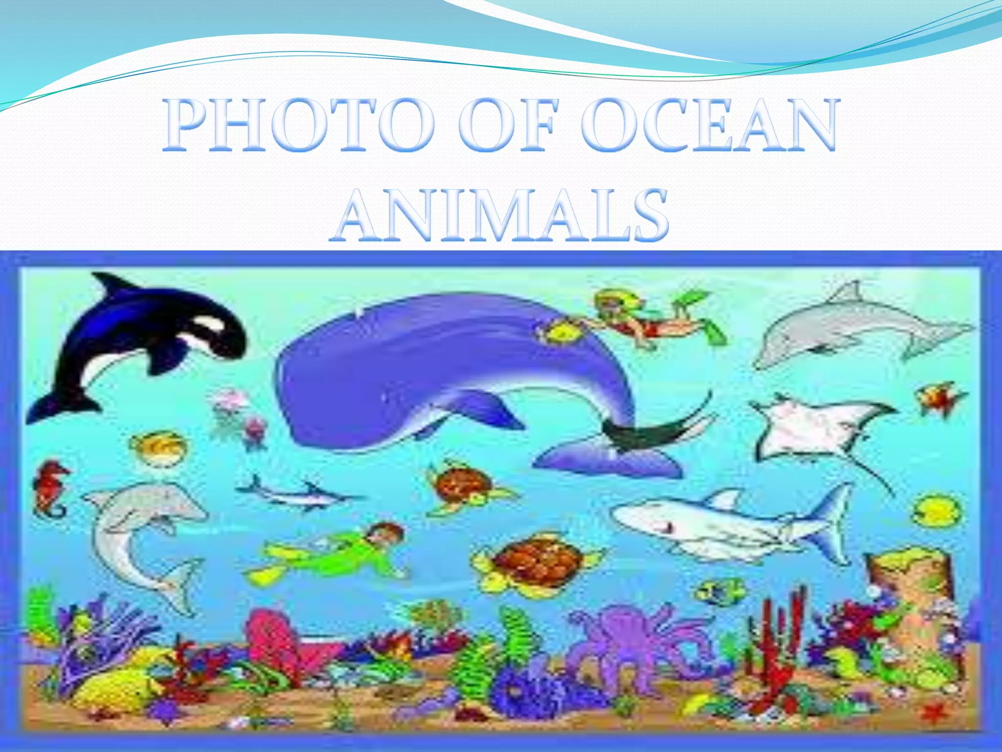 Ocean ecosystem | PPTX